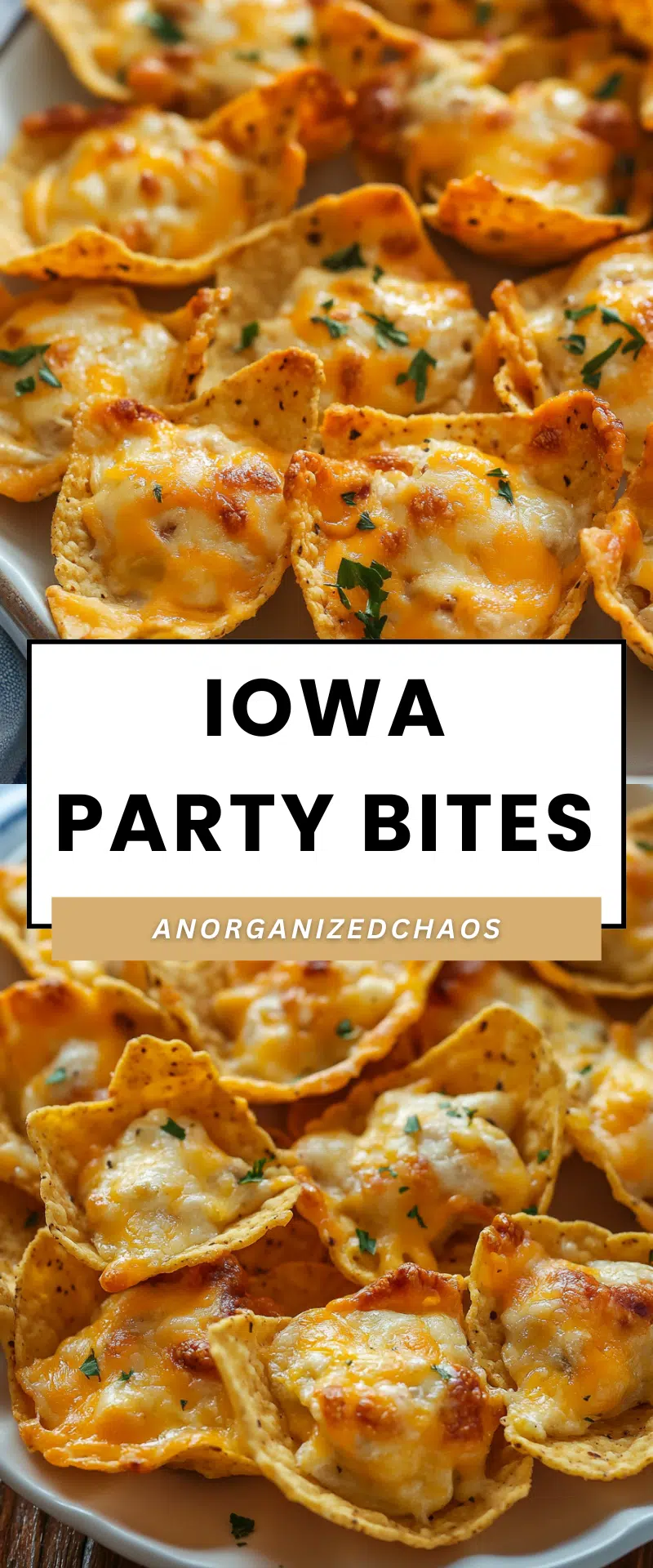 Iowa Party Bites - An Organized Chaos