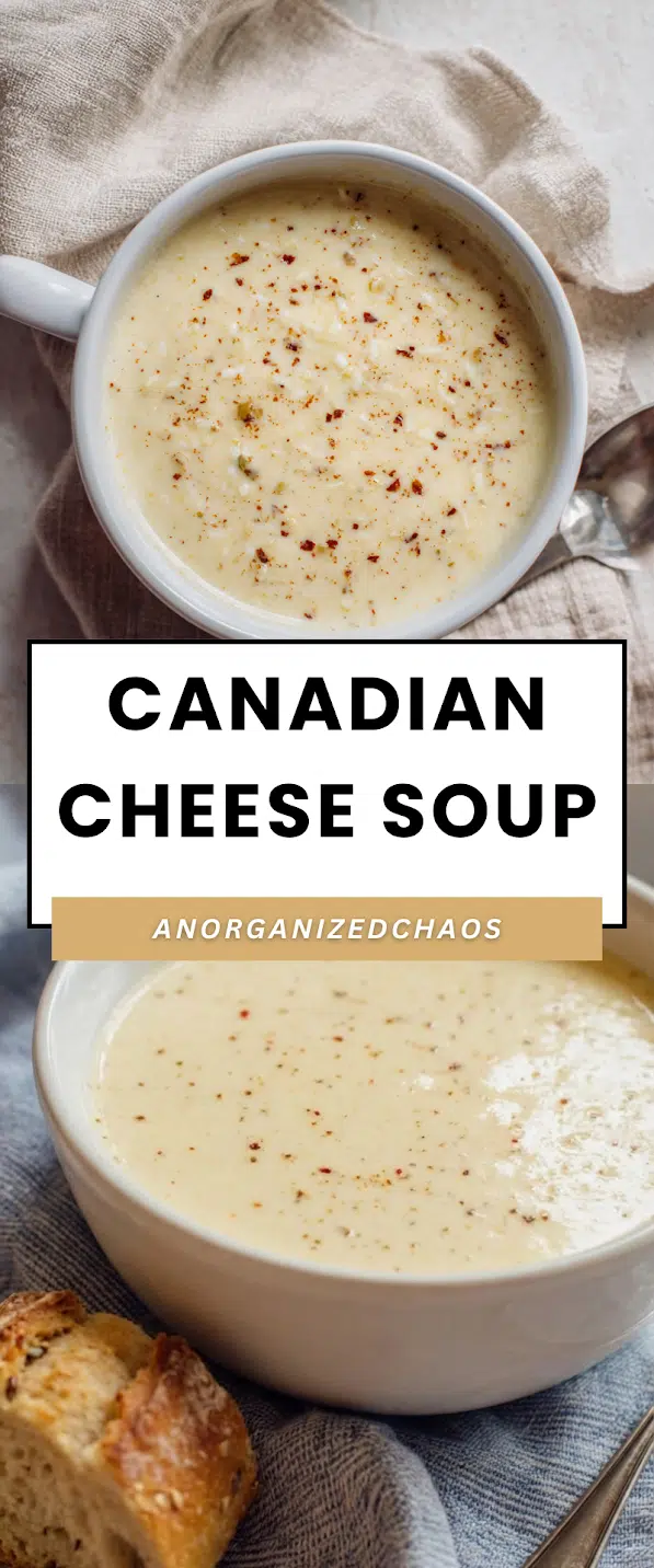 Canadian Cheese Soup - An Organized Chaos