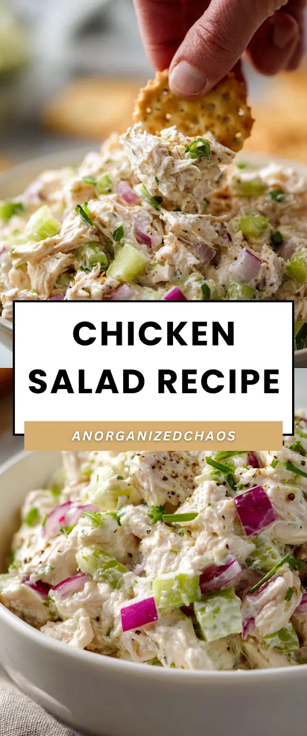 Chicken Salad Recipe - An Organized Chaos