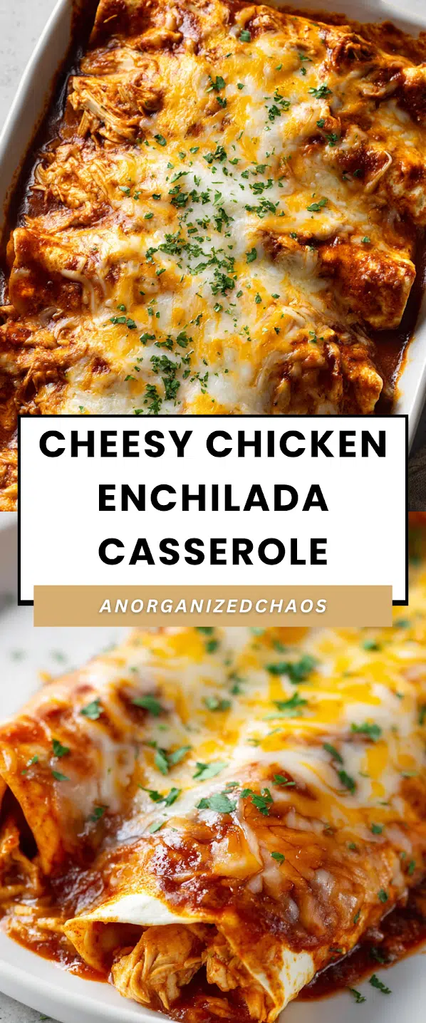 Cheesy Chicken Enchilada Casserole - An Organized Chaos