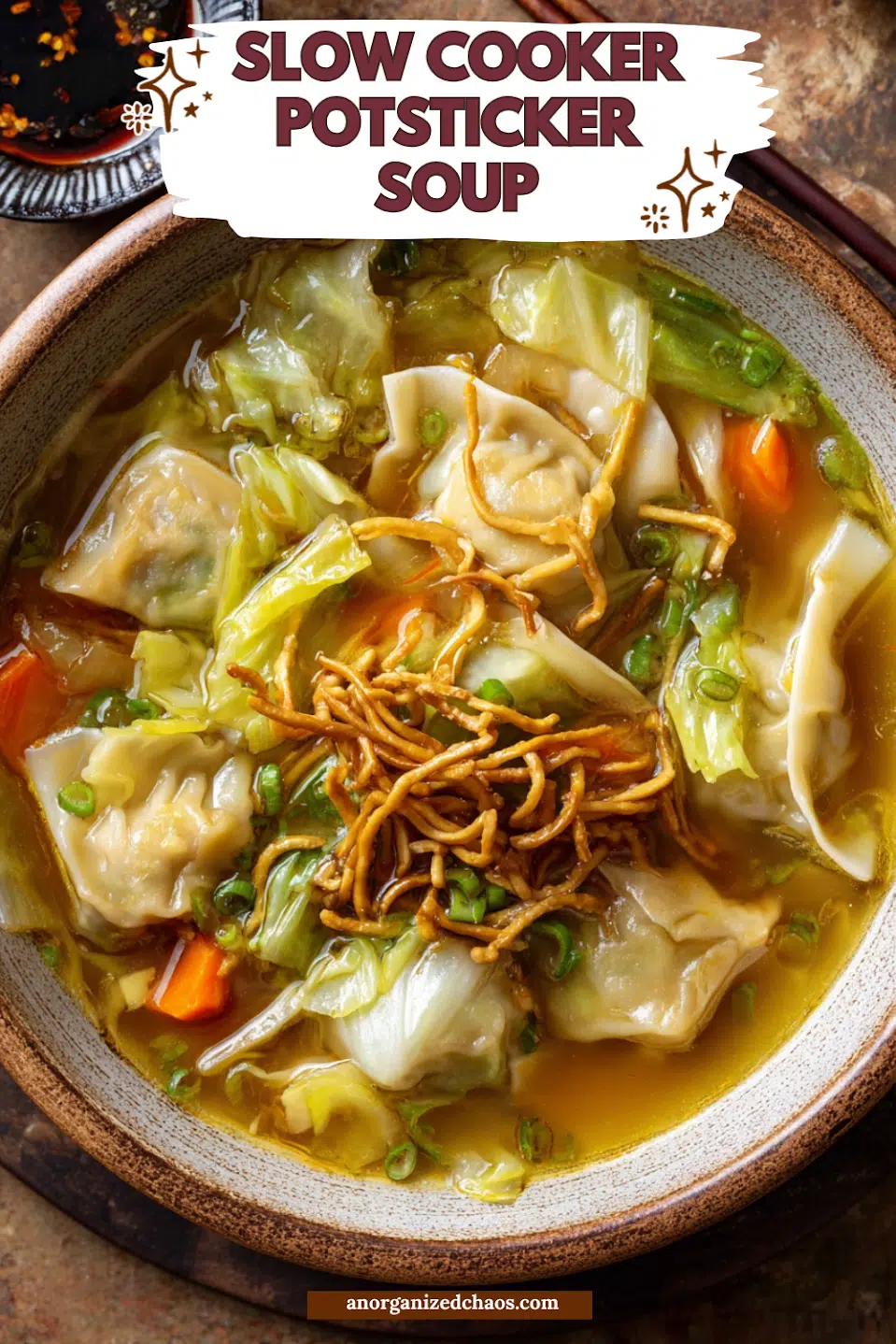 Slow Cooker Potsticker Soup - An Organized Chaos