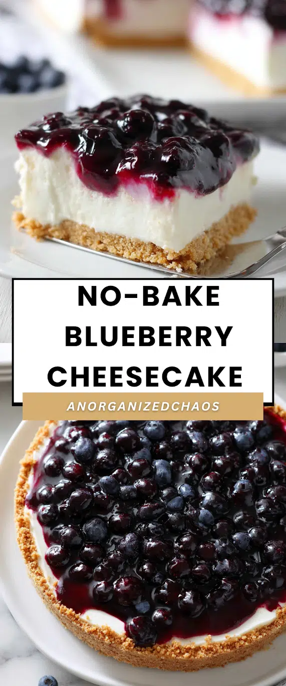 No-Bake Blueberry Cheesecake - An Organized Chaos